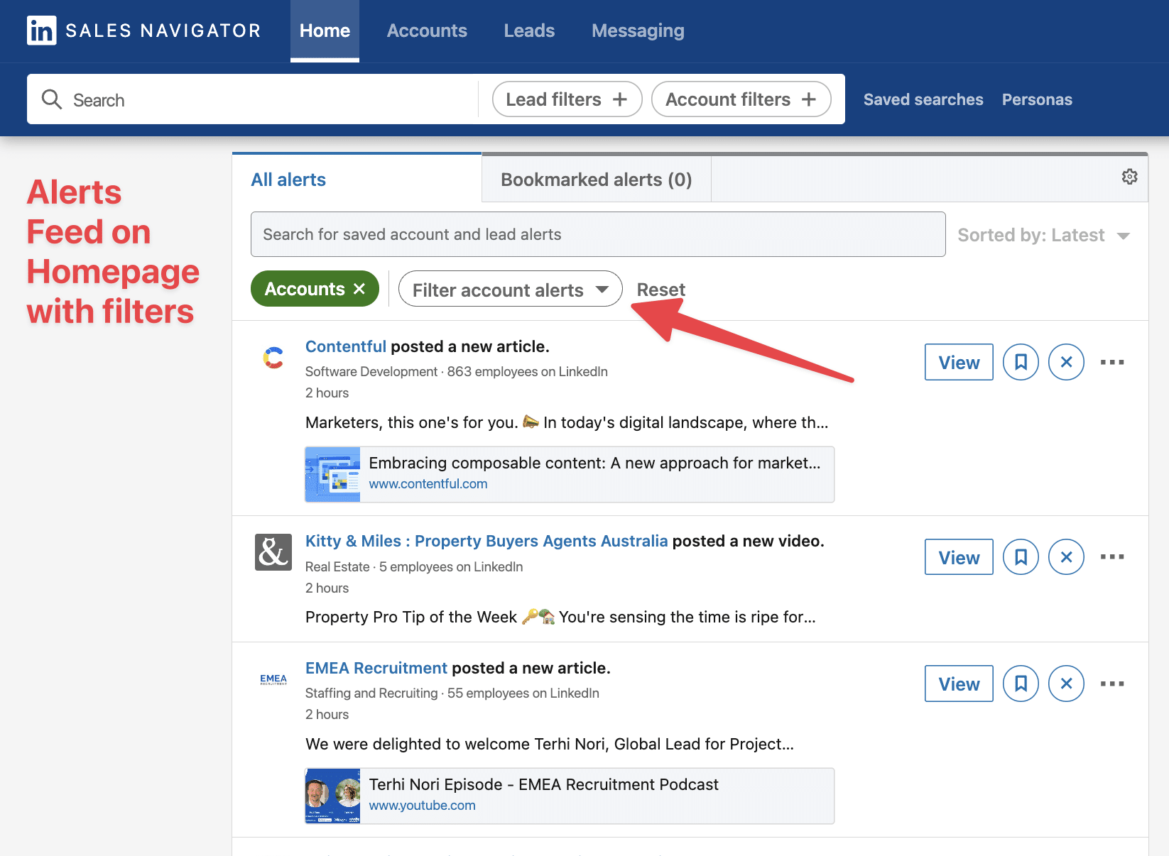 How To Use Alerts in Linkedin Sales Navigator? [2024]